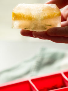Garbage Disposal-Cleaning Ice Cubes | 12 Tomatoes