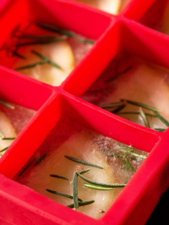 Garbage Disposal-Cleaning Ice Cubes | 12 Tomatoes