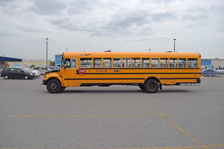 Why Do School Buses Have Those Black Lines On Their Sides 12 Tomatoes why-do-school-buses-have-those-black-lines-on-their-sides-12-tomatoes