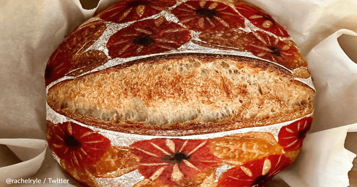 Animator Transforms Sourdough Bread Into Colorful Works Of Art | 12 ...