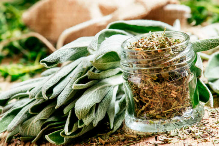 Poor Man Spices — How People In The Past Actually Seasoned Their Food ...