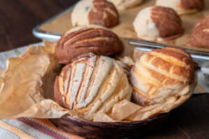 Chocolate & Vanilla Conchas | 12 Tomatoes