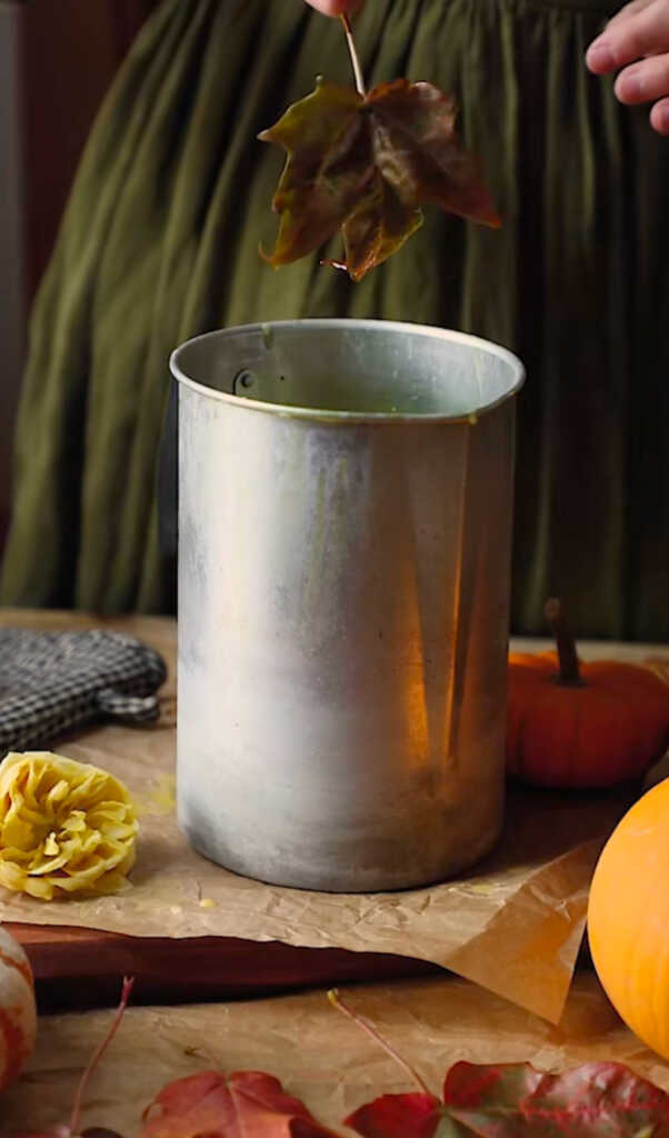 Preserve Fall Foliage Without Pressing Them | 12 Tomatoes