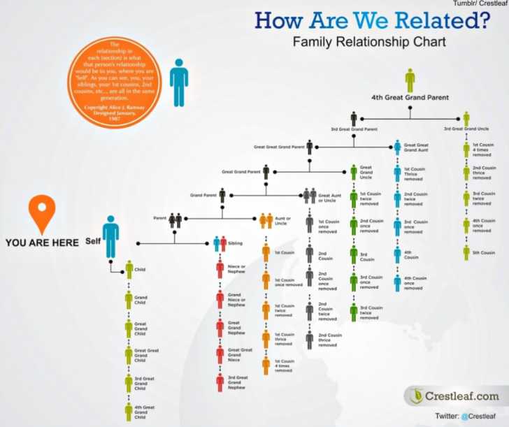 What s The Difference Between 2nd Cousins 1st Cousins Once Removed